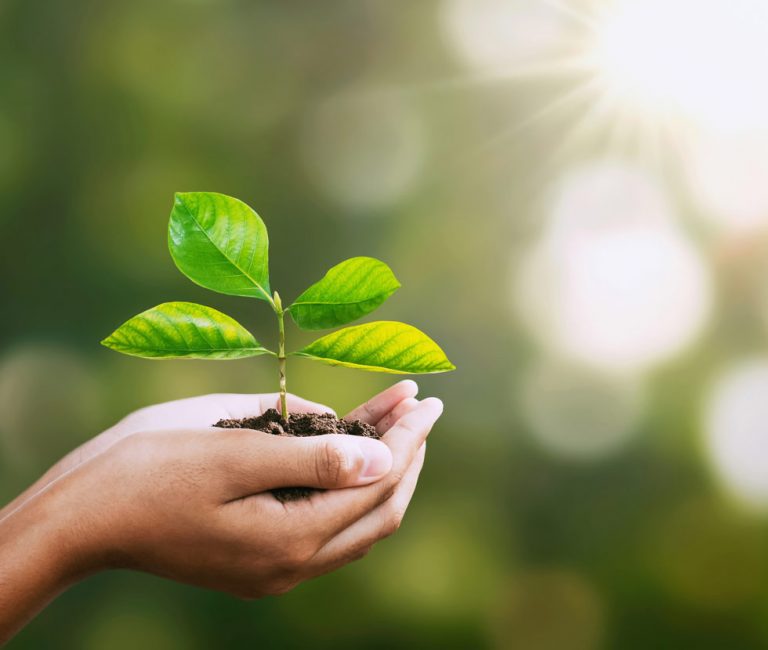 Products - Polynova Nissen AB